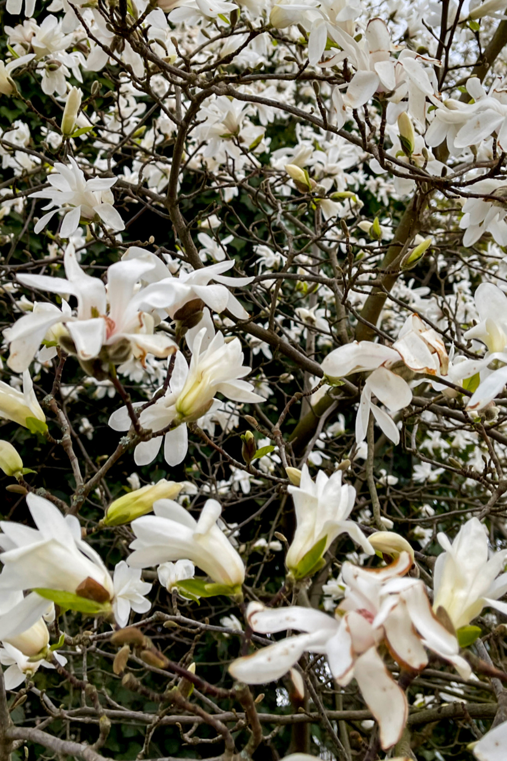 Małgosia Minta zaprasza do kuchni Nomy i Hisa Franko w poszukiwaniu ...